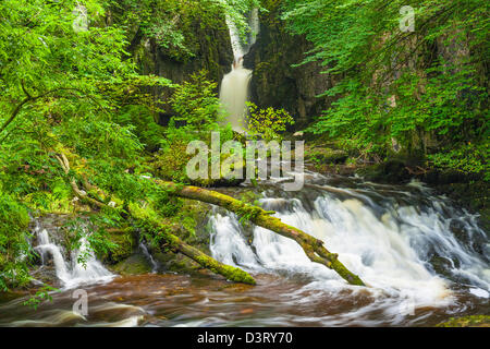 Catrigg Force waterfall in the Yorkshire Dales Stock Photo - Alamy