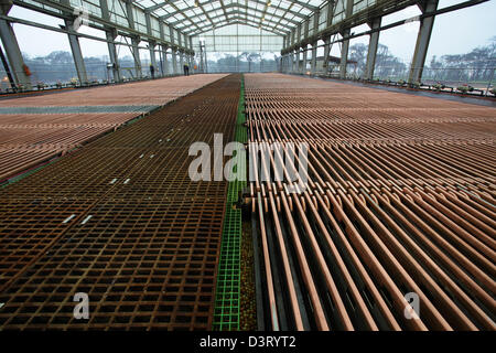 Electro winning copper by FQM First Quantum Minerals LTD Stock Photo ...