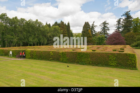 The maze at Traquair House, Scottish Borders Stock Photo - Alamy