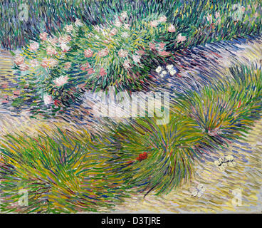Grass with Butterflies. Museum: Van Gogh Museum, Amsterdam Stock Photo ...