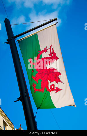 Welsh dragon flag, Cardiff, Wales UK Stock Photo - Alamy