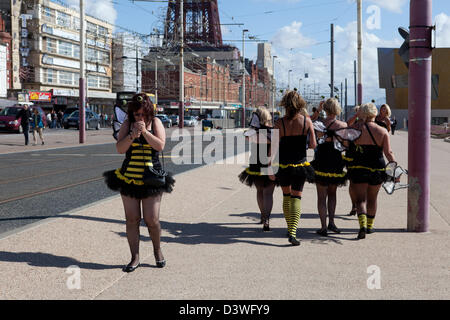 Hen parties in Blackpool, Lancashire, UK, July 2012 Stock Photo - Alamy