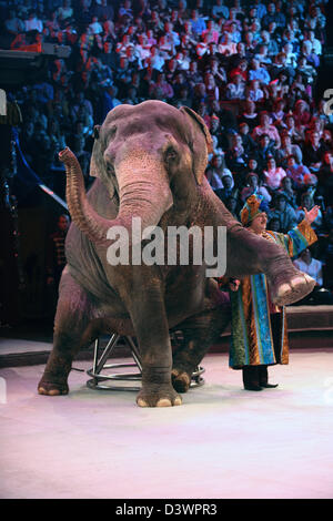Moscow Circus-Animal Performance Stock Photo - Alamy