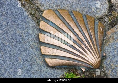 Pilgrim shell, St James shell 09 Stock Photo - Alamy