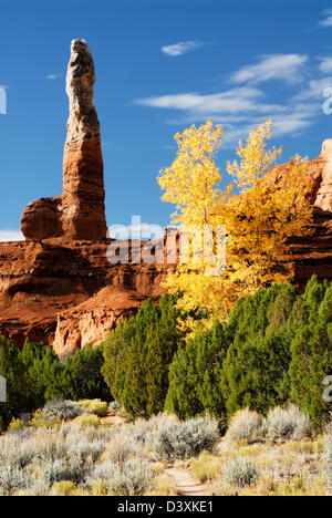 Unique rock spire perched on sandstone cliff and Aspen tree in fall ...