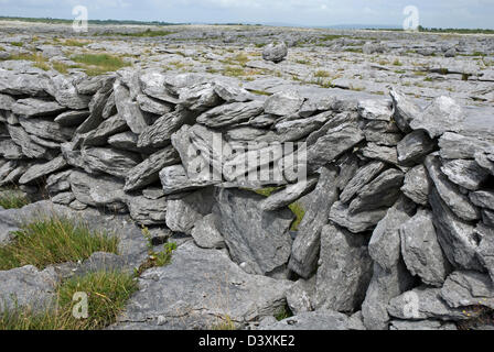 The Burren, Limestone Pavements, Dry Stone Walls, Co Clare Ireland ...