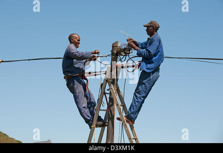 Telkom company telephone engineers working up a telegraph pole. South ...