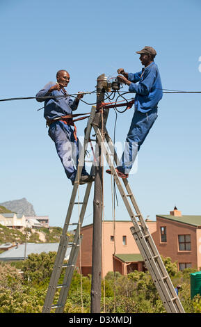 Telephone Engineers Men working up telephone poles Circa 1950 Stock ...