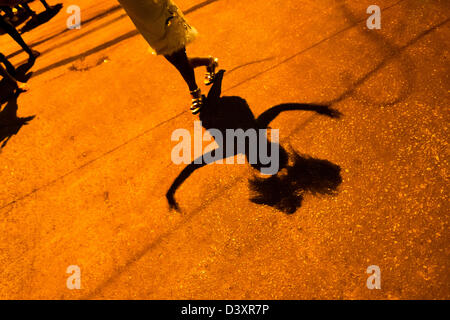 A Brazilian girl dancer performs samba during the Carnival parade in ...