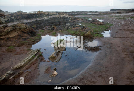 Tidal rock pools exposed at low tide creating little mini waterfalls ...