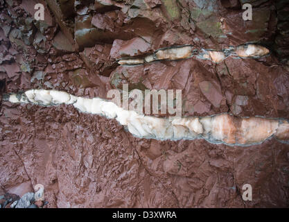 Geology of Watchet, Somerset, UK gypsum vein in the Mercia Mudstone of ...
