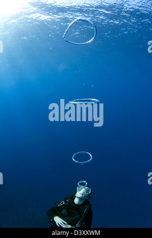 Diver from the coral reefs under the sea Stock Photo - Alamy