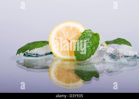Lemon and fresh mint leaves splashing with water over white background ...