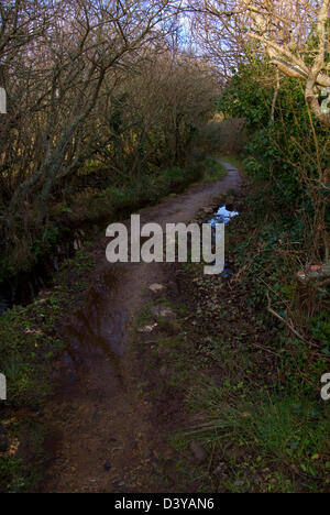 Marazion Marsh RSPB Cornwall England Stock Photo - Alamy