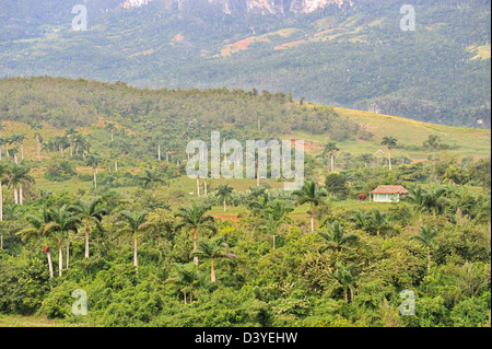 Landscape near Vinales, Pinar del Rio Province, Cuba Stock Photo - Alamy