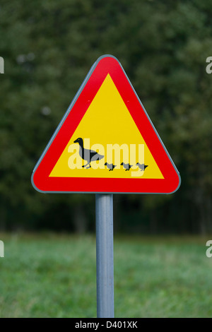 Caution Ducks Crossing Road Sign UK Traffic Signs Stock Photo - Alamy
