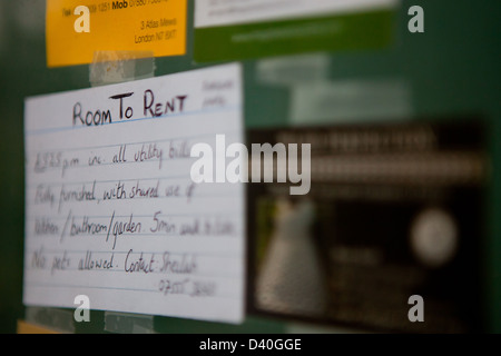 Room to Let sign in shop window Stock Photo - Alamy