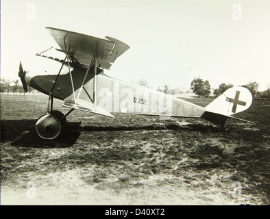 The Roland D XV was a German fighter aircraft used during World War I ...