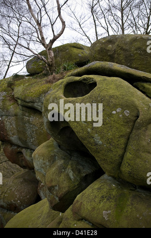 Prehistoric rock carvings at Rowtor Rocks, Birchover, Derbyshire, UK ...