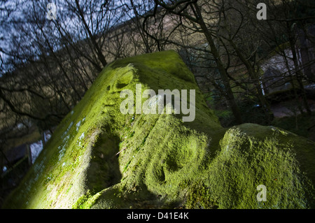 Prehistoric cup and ring marks rock art carved on rock at Brigantium ...