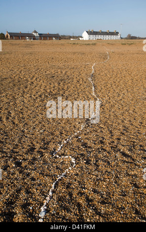 A line of white shells crossing the shingle beach into the distance ...
