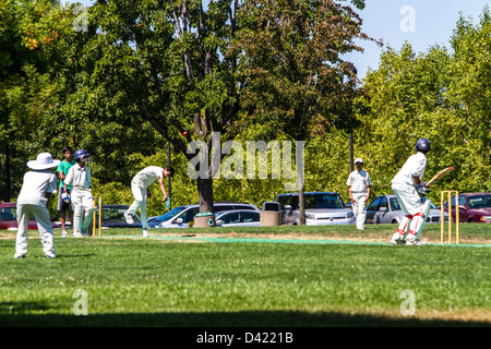 Cricket Match in Cupertino California Stock Photo - Alamy