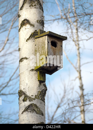 small bird tit wooden feeder Hanging bird house attached to tree branch ...