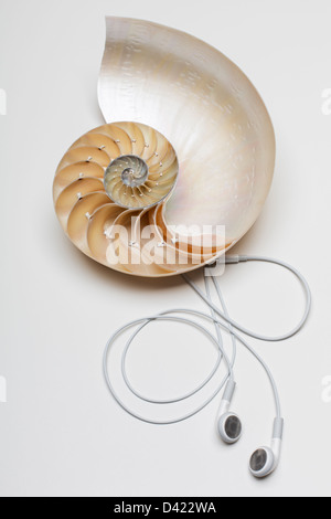 nautilus sea shell with ear buds Stock Photo - Alamy