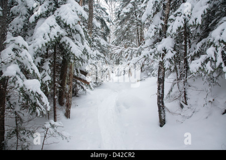 The Hancock Notch Trail in Lincoln, New Hampshire during the spring ...