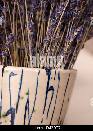 stalks of lavender in a vase Stock Photo - Alamy