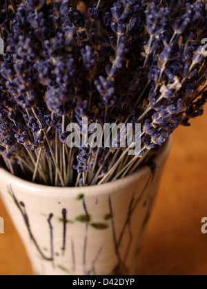 stalks of lavender in a vase Stock Photo - Alamy