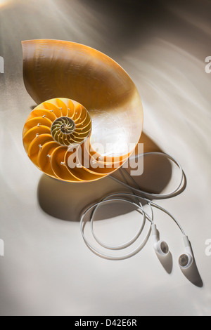 nautilus sea shell with ear buds Stock Photo - Alamy