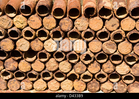 First World War artillery shells and poppies by the roadside near ...