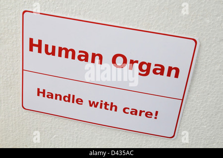 Doctor with box for organ Transplantation Stock Photo - Alamy