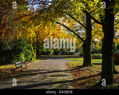 Chadderton Hall Park in Autumn Colours Stock Photo - Alamy