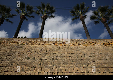 A part of a castle late at Nicosia with palms Stock Photo - Alamy