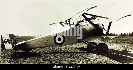 The Nieuport Triplane, a French aircraft used during World War I, known ...