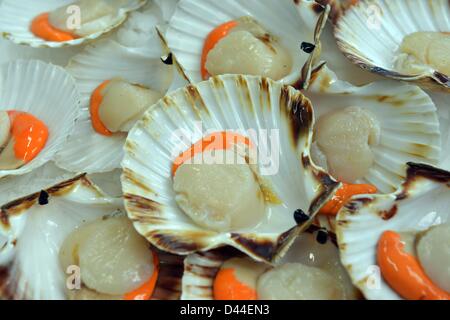 Scallops, processing scallops at a commercial fish processing factory ...