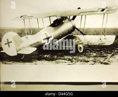 Pfalz D VIII German fighter biplane, developed too late to take part in ...