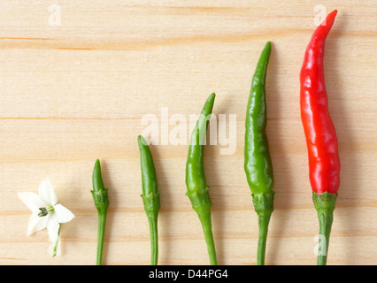 Growing up step by step from begining to the end Stock Photo - Alamy