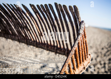 fregene, italy, europe Stock Photo - Alamy