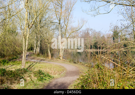 Lake in Priory Woods Local Nature Reserve at Sandwell Valley Country ...
