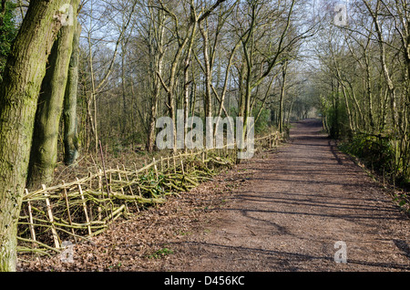 Tree-lined path through Priory Woods in Sandwell Valley Country Park ...