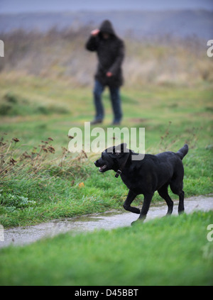 Hoody walking his dog Stock Photo - Alamy