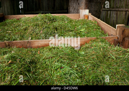 fresh cut lawn clippings piled in a compost bin Stock Photo - Alamy
