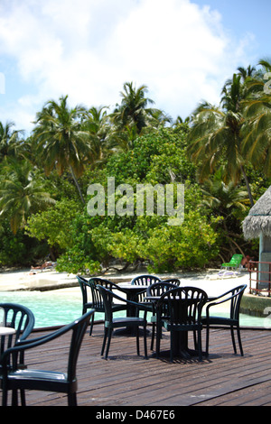 Night club, bar, cafe. Tropical beach club bar at night with purple ...