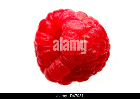 Single red raspberry isolated on white background. Studio shoot Stock ...