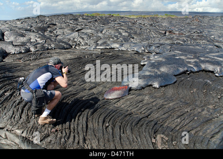 Pahoehoe lava. Pahoehoe lava flow from Kilauea Volcano, Hawaii, USA ...