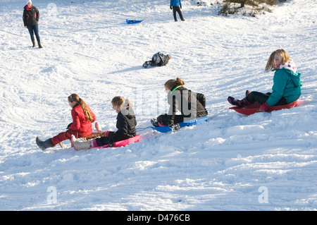 sledge sledging sledges snow fun play playing in the winter weather ...