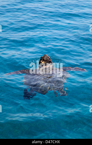 View of Laganas resort, South Zakynthos Island, Zante, Greece, Europe ...